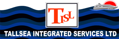 ROV Services & Survey | Tallsea Integrated Services Ltd